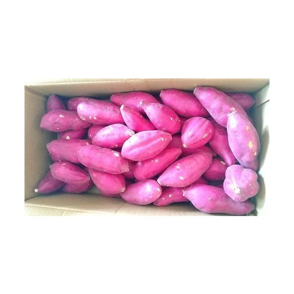 焼き芋、てんぷらに最適の鳴門金時です。■内容量・規格　Sサイズ　５ｋｇ■産地　徳島県■直射日光を避けて保存。ご案内　　お届けは年明けになります。