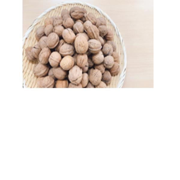 安全、安心の国産くるみです。くるみには、豊富な栄養素があり旨みが凝縮！殻つきですので、殻を割ってお召し上がりください。内容量　約1kg産地　愛媛県