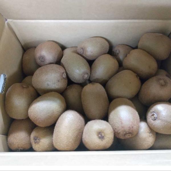 産地　愛媛県規格　5kg