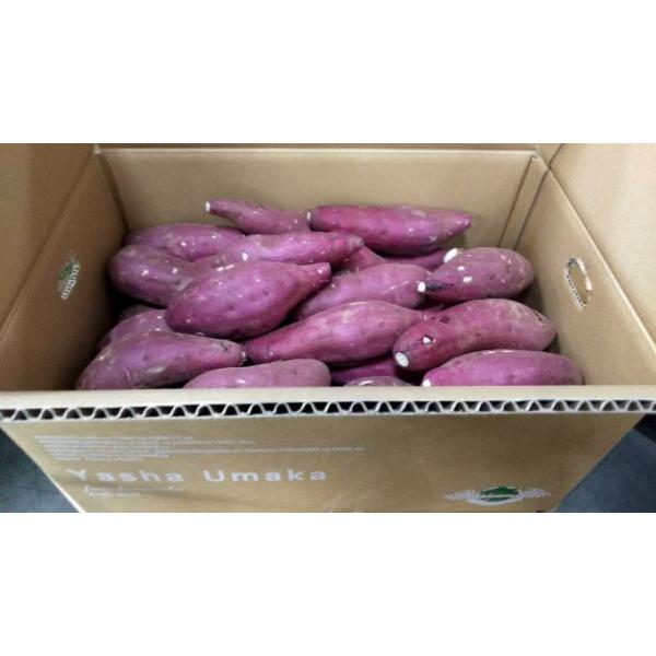 紅はるかは外観が優れ、しかも蒸しいもにした時の糖度が高く、とても美味しい芋です。*内容量　１５kg*産地　熊本県サイズはおまかせになります。