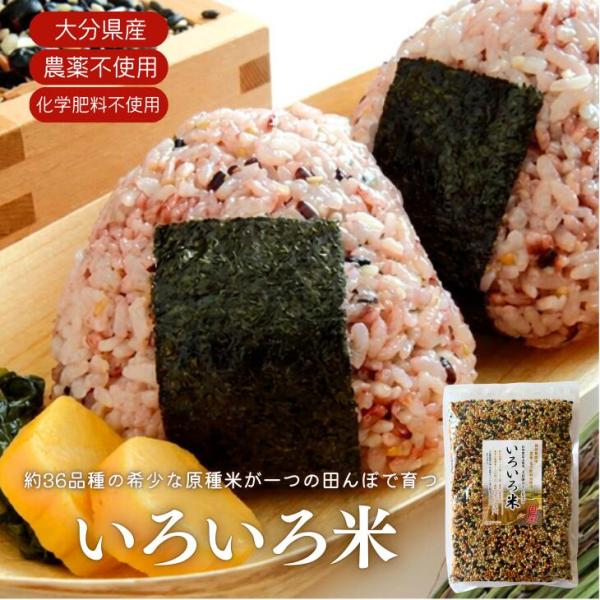 【検索ワード】いろいろ米 約36品種のお米 雑穀米 国産 無農薬 自然農法太陽米 九州産 国産 栽培期間中 農薬・化学肥料不使用 天日干し うるち米 もち米 赤米 黒米 雑穀 ご飯 お米 おにぎり 食物繊維 ダイエット オーガニック ダイシ...