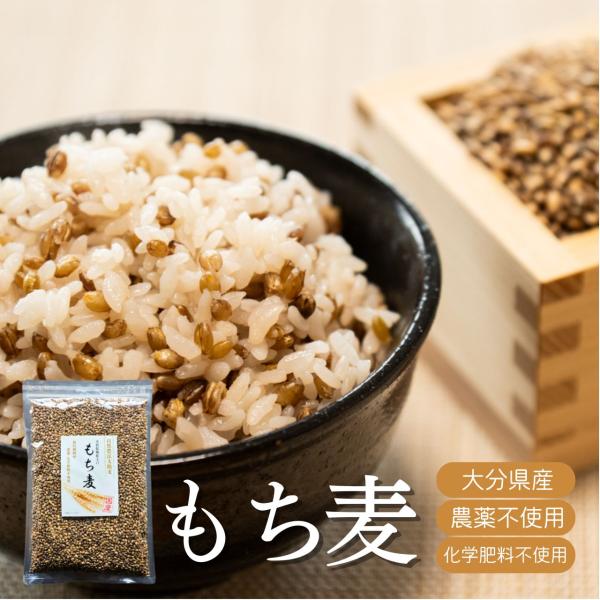 【検索ワード】もち麦 国産 無農薬 自然農法太陽麦 玄麦 九州産 もち麦 国産 栽培期間中 農薬・化学肥料不使用 天日干し 雑穀 ご飯 お米 おにぎり 食物繊維 ダイエット オーガニック ダイシモチ チャック袋 無農薬 1000円ポッキリ雑...
