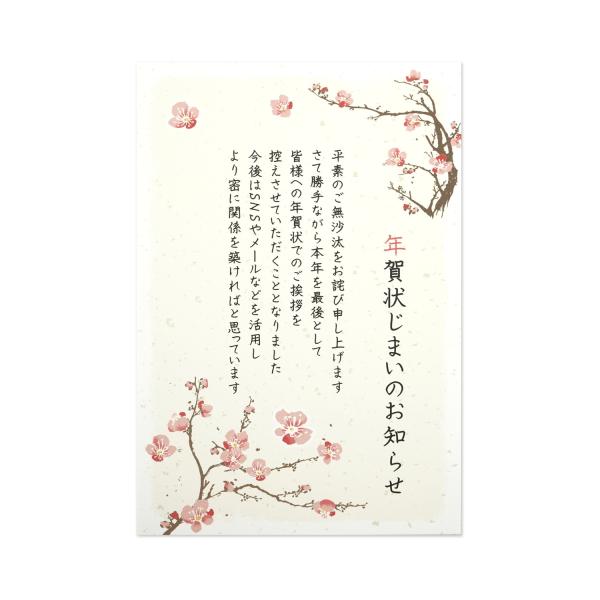 【仕様】●内容：3枚入り●サイズ：H148mm x W100mm「年賀じまいはがき」は、これまで年賀状のやり取りをしていた相手に対し、今後の年賀状の送付を辞退する旨を伝える挨拶状です。来年もご使用いただけるデザインです。同デザイン3枚入り。...
