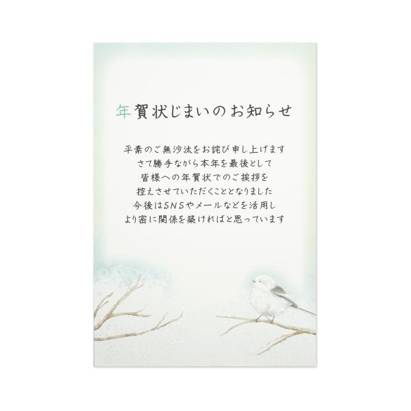 【仕様】●内容：3枚入り●サイズ：H148mm x W100mm「年賀じまいはがき」は、これまで年賀状のやり取りをしていた相手に対し、今後の年賀状の送付を辞退する旨を伝える挨拶状です。来年もご使用いただけるデザインです。同デザイン3枚入り。...