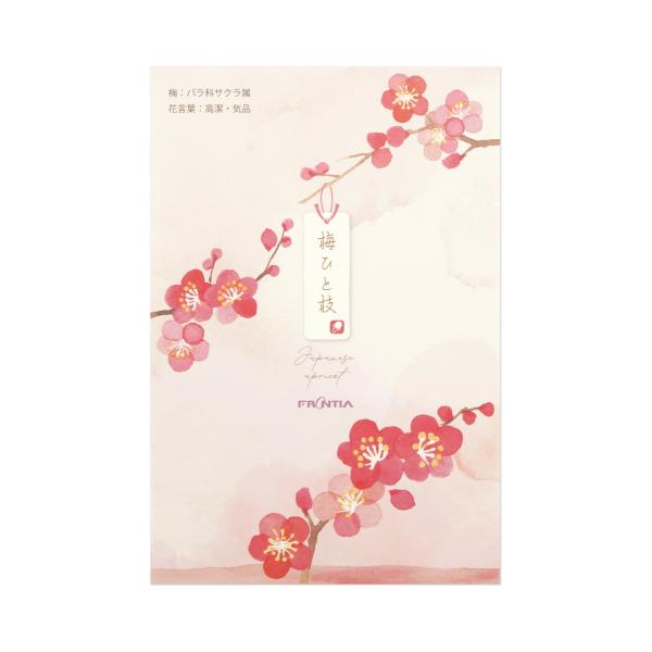 【仕様】●内容　10枚入り・罫線あり・2柄各5枚●サイズ　148x100mm●森林認証紙使用水彩画のような梅の木が美しいデザインのはがき箋。老若男女問わず使えて、冬の季節に大変重宝するアイテムです。お世話になった人へのお祝いやお礼、ご挨拶な...