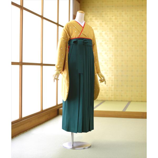 【商品番号：msh030】※ご予約可能な場合でも、身長により「袴のみ」変更の　お願いをさせて頂く場合がございます。※対応身長:150cm〜164cm位　洋服サイズ:7〜13号まで・先生・教員・保育士・大学・短大・専門学校・小学生------...