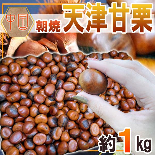 大人気!!特別な地域で栽培した栗限定☆甘味と旨味が凝縮したこだわりの味◎『天津甘栗』実は、天津甘栗は「天津」で栽培された栗でなく、天津に集めて売られていることからついた名前。甘栗だけを職人が特殊な製法でじっくりと焼きあげた天津甘栗は、締まっ...