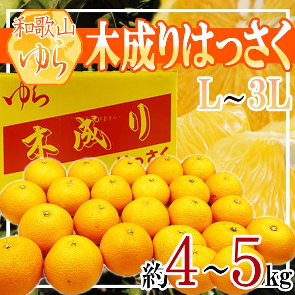 プリプリジューシ＾春になると食べたくなる味♪ほろ苦く、甘酸っぱい。懐かしく優しい味わい明治時代から日本人に愛されてきた「はっさく」はっさくといえば、酸っぱくてトゲトゲした味のイメージの方もいらっしゃるかも。でも今回お届けする「木成りはっさく...