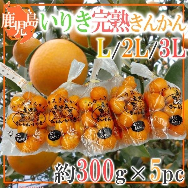 生で美味しい！甘酸っぱ〜い「完熟の味」鹿児島「入来」自慢のブランドきんかん!風邪予防やのどにいいとされるきんかん♪様々なビタミンが含まれており、皮ごと食べられる金柑は冬の風物詩ですよね♪でも、金柑は甘露煮やジャムなどに加工するイメージの方が...
