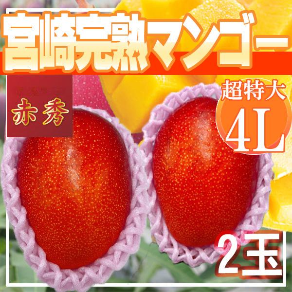 一口で、とろける至福の時間「感動フルーツ」宮崎完熟マンゴーとろける濃厚食感♪極めて繊維質の少ないアーウィンマンゴー！『宮崎完熟マンゴー』はアーウィン種といわれる品種のマンゴー♪その赤い見た目から"アップルマンゴー"ともいわれる、国産マンゴー...