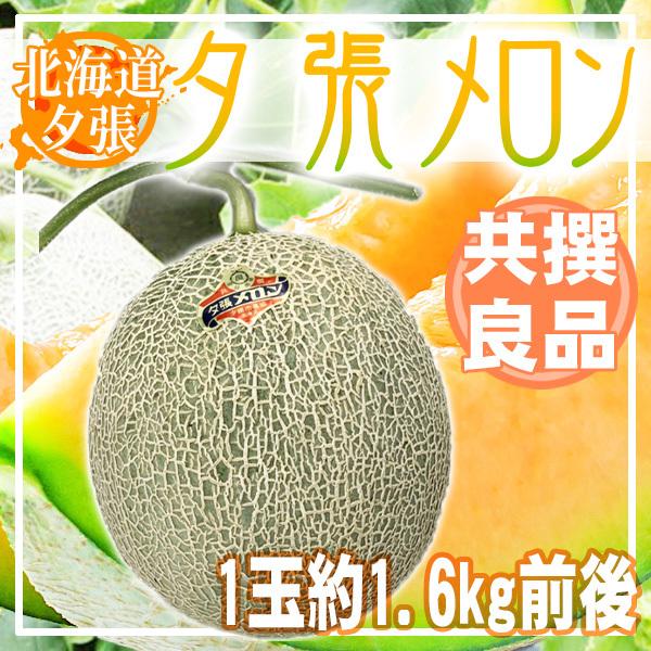 じゅわぁ〜っと広がる甘さ赤肉メロンの最高峰　『夕張メロン』夕張メロンの特徴はなんといっても芳香と柔らかな果肉！！芳香で甘くて爽やかなメロンの香りに包まれます♪切ると見える鮮やかなオレンジ色の果肉はとってもキレイ☆その香り、甘さ、柔らかさは食...