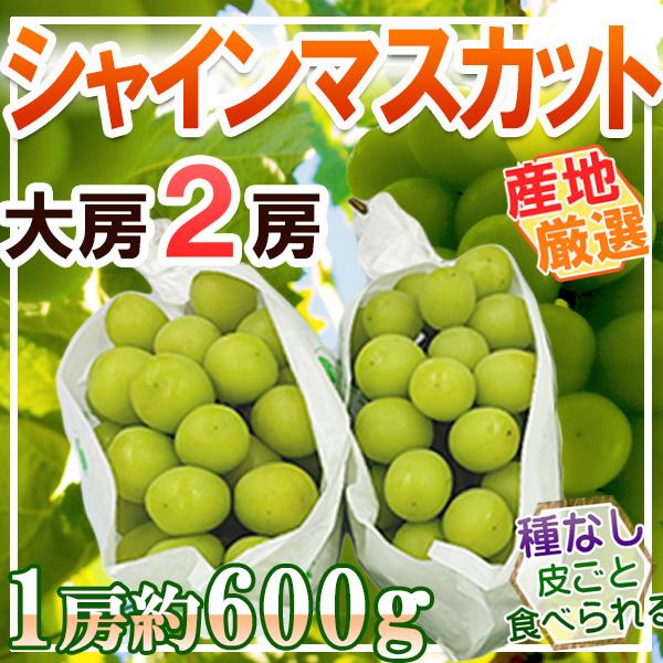 大房・大粒、高貴な芳香皮ごと食べられて種無し！『種無しシャインマスカット』 皮ごと食べられて、種がない！食べたら残るのは軸の部分だけ！しかも香り高く、甘さも抜群で見た目もヒスイのように美しい♪「こんな葡萄食べてみたい！」という夢のような品種...