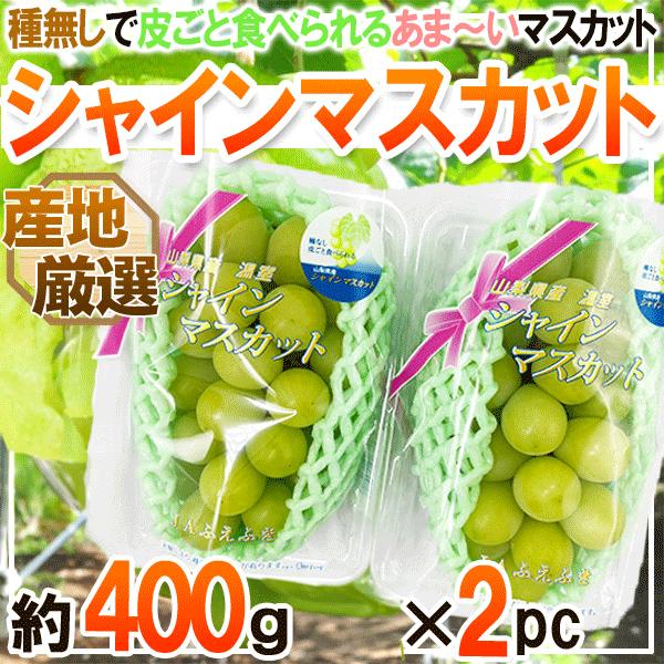 大房・大粒、高貴な芳香皮ごと食べられて種無し！『種無しシャインマスカット』皮ごと食べられて、種がない！食べたら残るのは軸の部分だけ！しかも香り高く、甘さも抜群で見た目もヒスイのように美しい♪「こんな葡萄食べてみたい！」という夢のような品種"...