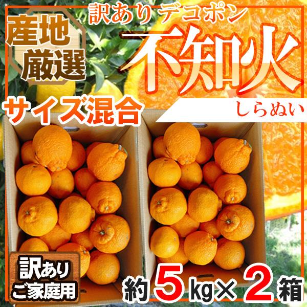 高級柑橘デコポンと同品種の"不知火が 超お手頃価格で登場！   今回お届けする「訳あり不知火」は センサーで糖度検査をせず出荷されるもの。 その為、見た目に少々難がある物も混じりますが 味は"デコポン"に劣らない逸品！ 『不知火』がこんなに...