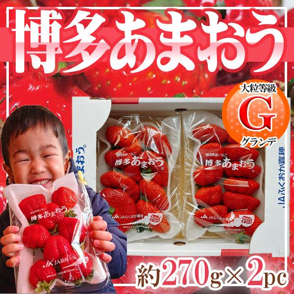 苺好きなら誰もが知ってる♪「美味しい苺の代名詞」苺の王様『あまおう』福岡・博多生まれの『あまおう』今でも福岡でしか栽培されていない希少な苺??【あかい・まるい・おおきい・うまい】の頭文字からとられた名前の通りの姿と味が評価され、今や「苺の王...