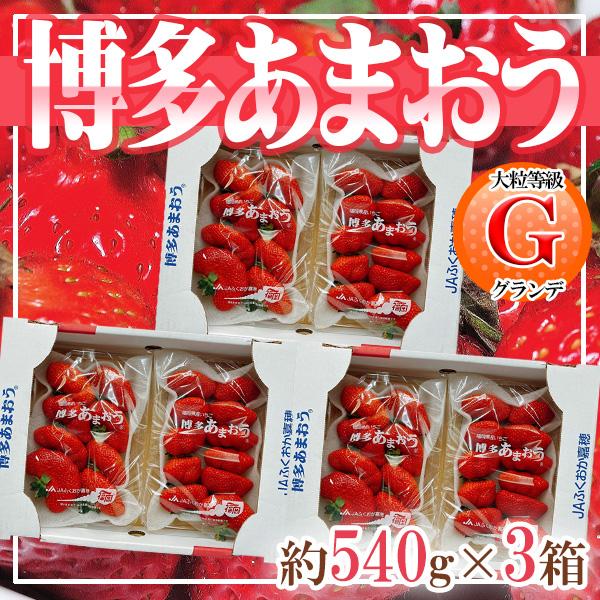 苺好きなら誰もが知ってる♪「美味しい苺の代名詞」苺の王様『あまおう』福岡・博多生まれの『あまおう』今でも福岡でしか栽培されていない希少な苺??【あかい・まるい・おおきい・うまい】の頭文字からとられた名前の通りの姿と味が評価され、今や「苺の王...
