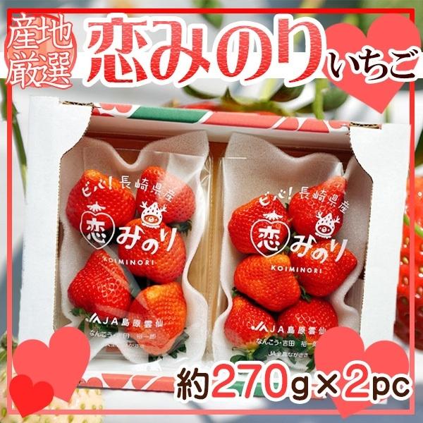 大粒・丸くて甘い注目の新品種！名前もカワイイ『恋みのり』熊本の品種である【ひのしずく】を親に持つ、2017年に品種登録好評されたばかりのできたてホヤホヤの新品種である『恋みのり』市場にはまだまだ出回っていませんが、各生産地から熱い視線を浴び...