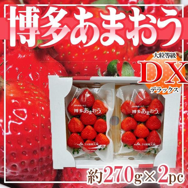 《送料無料》（北海道、沖縄は送料1,600円、頂戴いたします）