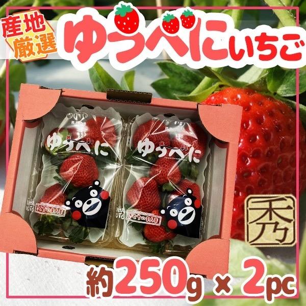 いちご戦国時代の「新たな刺客!?」甘さと香りに自信があります♪ニューフェイス熊本いちご『ゆうべに』今、いちご界は品種改良戦国時代!そんな中、栃木の「とちおとめ」福岡の「あまおう」の有名ブランド二強の戦いに2015年に"参戦"し、「新勢力登場...