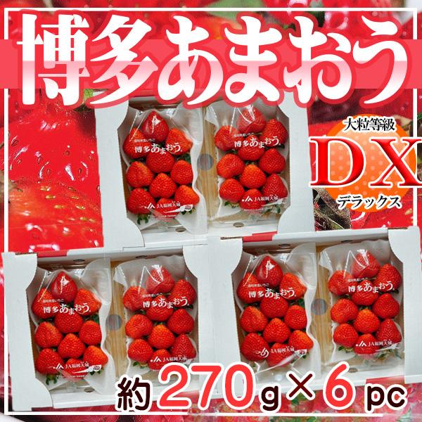 苺好きなら誰もが知ってる♪「美味しい苺の代名詞」苺の王様『あまおう』福岡・博多生まれの『あまおう』今でも福岡でしか栽培されていない希少な苺??【あかい・まるい・おおきい・うまい】の頭文字からとられた名前の通りの姿と味が評価され、今や「苺の王...