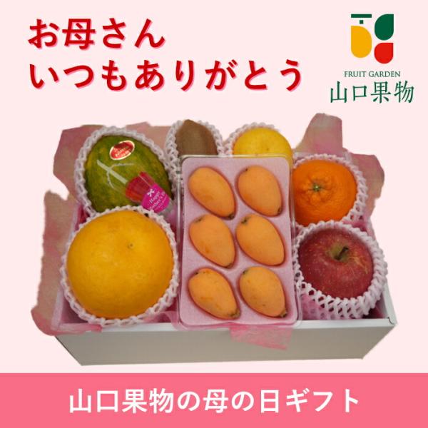 母の日ギフト 茂木枇杷メイン 限定 詰め合わせ