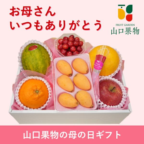 母の日ギフト 【 さくらんぼと茂木枇杷メイン 】