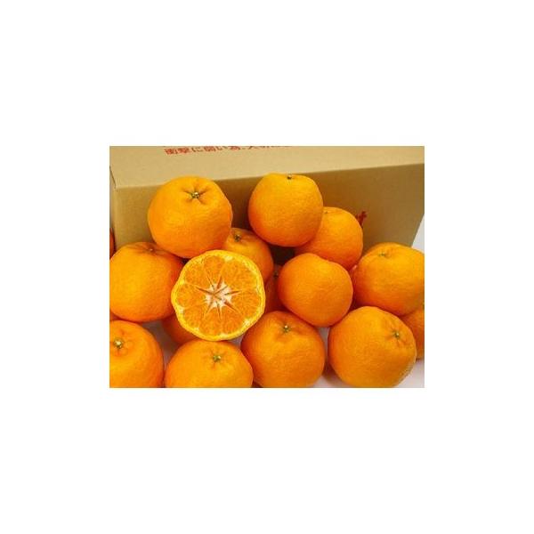 ・商品名 ご家庭用ポンカン（訳あり品） ・内容量 5kg 50個前後◎一般地域は送料無料・北海道・東北・沖縄・離島は別途送料を申し受けます。