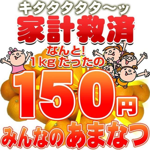1kgたった150円!20kgまでお好きな量を量り売り!不選別・不ぞろいのご自宅用甘夏です※発送：3月下旬〜4月上旬予定※配送：佐川急便またはゆうパック※1kgあたり5個前後（不選別のため個数不定）ご贈答用には不向きです※同梱不可、着日指定...