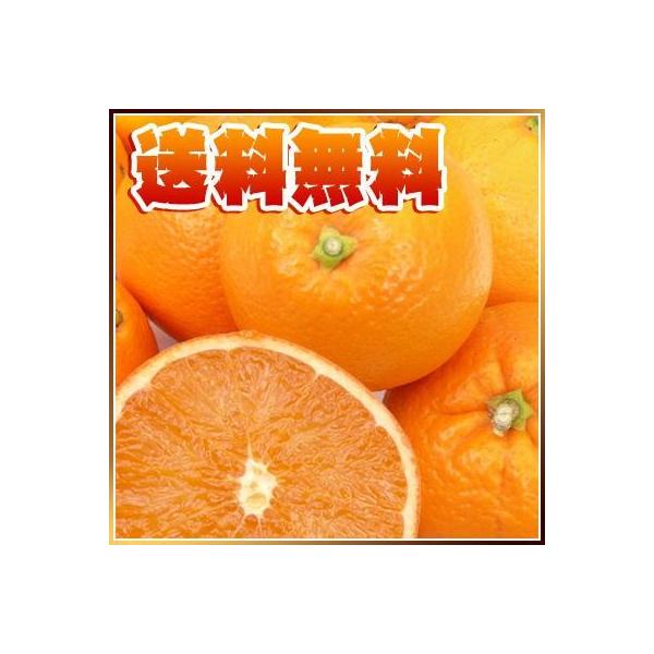 【発売日：2008年10月10日】希少な国産ネーブル！傷ありで、不揃いですが 爽やかな甘味と果汁たっぷり！ ★内容量→5kg　約25個前後★発送方法→宅配便【ゆうぱっく／佐川急便】・北海道・東北・沖縄・離島は別途送料を申し受けます。