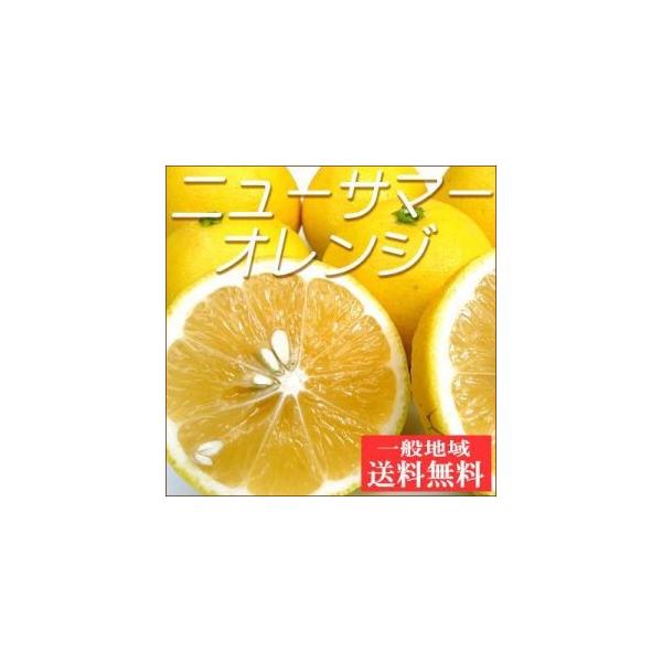 【発売日：2009年03月25日】【特徴】ゆずの系統で初夏の高級柑橘ニューサマーオレンジ。上品な香りとさわやかな甘味たっぷり。 傷あり・不ぞろいのご家庭用かんきつです【食べ方】黄色い皮を剥き白いワタを残してザク切りにして食べます○内容量：2...