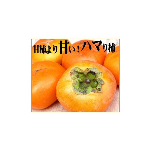 渋抜きにより甘柿より濃厚甘くて柔らかい刀根柿！※この商品は不揃い・傷あり果実です。ご家庭用としてお買い求めください。※表面が少し青い場合がありますがお味には影響ございません□発送期間：10月上旬〜10月末□内容量：2kg（10個前後）※一部...