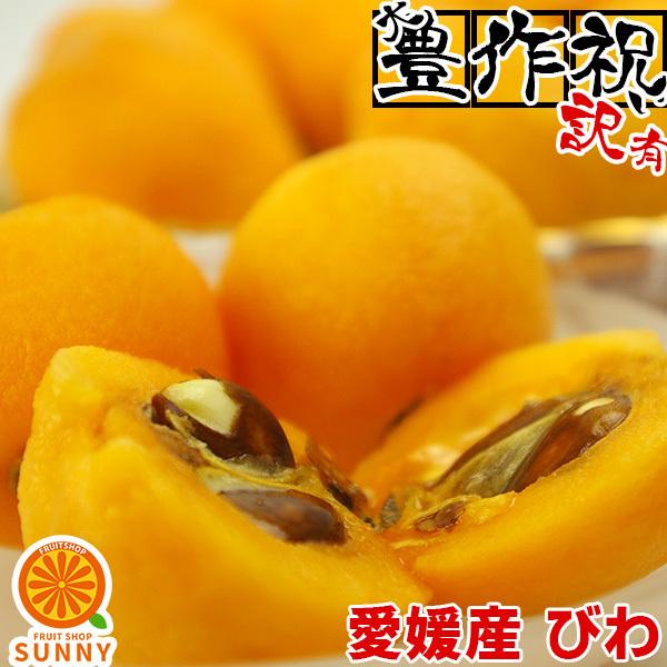 びわの大豊作祝い愛媛産の大粒＆甘〜いびわ！不ぞろいですが味は格別♪ご家庭用に※発送期間が大変短いため着日指定はお受けできません名称：ご家庭用 びわ 訳あり・不揃い産地:愛媛県産配送方法:常温便【ゆうぱっく／佐川急便／ヤマト運輸】保存方法:到...