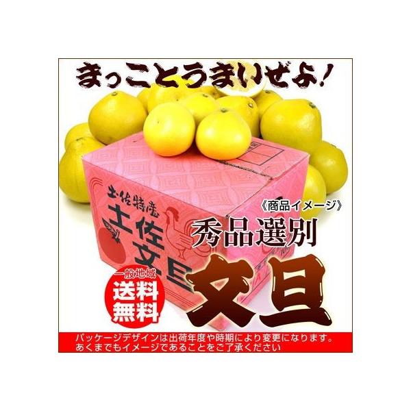 【発売日：2008年10月10日】サッパリとした味わい、独特の苦味を楽しめます・内容量…10kgで20〜22個前後・２Lサイズ（1玉500g前後）【送料無料商品の一部例外地域について】・北海道・東北・沖縄・離島は別途送料を申し受けます。果物...