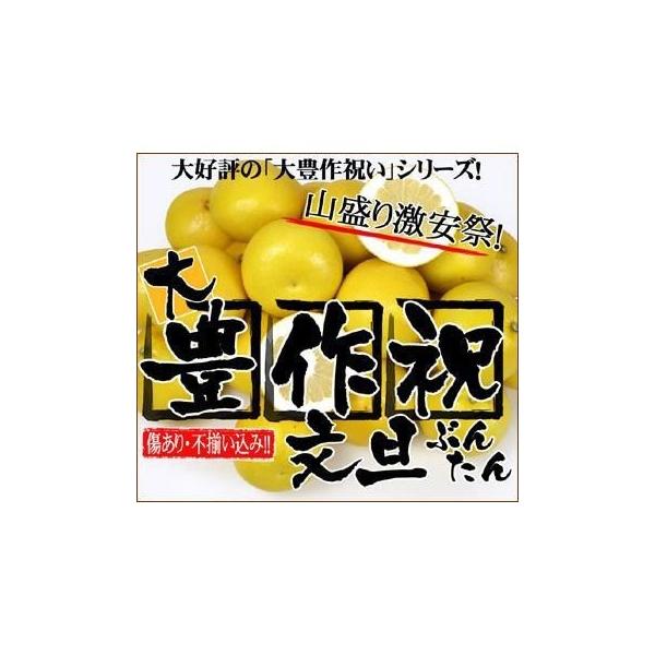 サッパリとした味わいが楽しめる文旦。不ぞろい不選別により低価格を実現しているため味のバラつき・多少のキズ等あらかじめご了承の上、ご家庭用としてお求め下さい・産地：高知県・愛媛県・内容量：7kg（個数不定）・配送：佐川急便常温便家庭用 フルー...