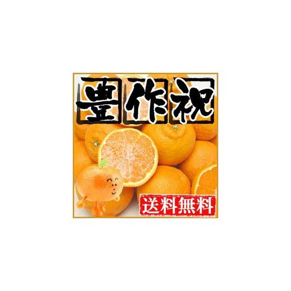 不選別直送で低価格を実現した大豊作祝いシリーズのデコポンです。不ぞろい・キズありでご家庭向き果実です。あらかじめご了承ください。 ☆内容量10kg ※不ぞろいにつき個数は明記できません☆発送：佐川急便・一部ゆうパック☆到着後は上下を入れ替え...