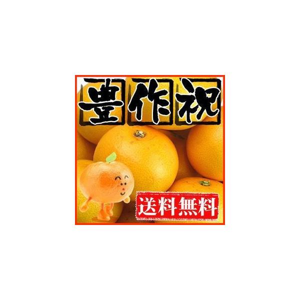 ※無選別によりお安く販売しておりますので傷み有ご了承の上ご注文をお願いします。※大豊作祝いシリーズは他商品と同梱不可です・北海道・東北・沖縄・離島は別途送料を申し受けます。
