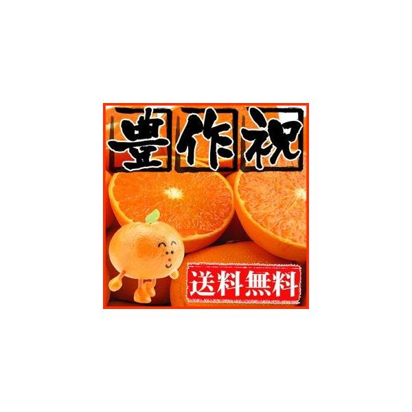 外皮ギリギリまで甘くてゼリーのように柔らかな果肉をぎゅうぎゅうに詰め込んだ究極の柑橘「せとか」不選別・傷あり・不ぞろいにより低価格を実現！その点ご了承下さい※内容量／2kg※配送／佐川急便常温便【送料無料商品の一部例外地域について】・北海道...