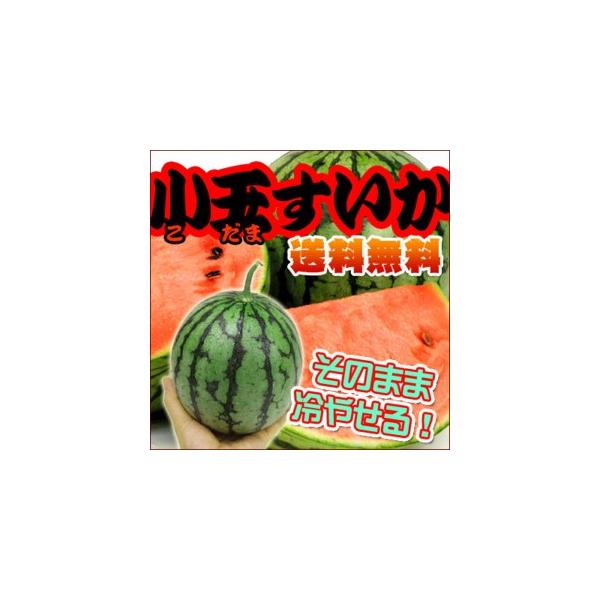【発売日：2009年05月26日】甘さも申し分なし！もっと人気があってもおかしくないバイヤーオススメのすいかです冷蔵庫に丸ごと入るので味落ちもありません！※発送：5月下旬〜7月末予定※ ★内容量→約1.0kgが４個★配送方法→宅配便【佐川急...