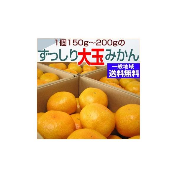 果汁たっぷり大玉みかん！ 規格外のため訳ありとしていますが、きれいなみかんです大玉傾向ですが美味しいですよ！◆商品名/大玉みかん◆産　地/愛媛県◆配　送/宅配便【ゆうぱっく／佐川急便 】◆保存方法/・到着後はすぐに開梱して傷んでいるものがあ...