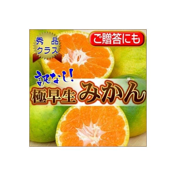 【商品の詳細】商品名/産地：  愛媛産極早生みかん発送：10月上旬〜10月末予定配送：ゆうパック／佐川急便 常温便内容量：10kg 100個前後※送料無料商品について※一般地域は送料無料 ※北海道・東北・沖縄・離島は別途送料を申し受けます。