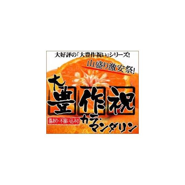 多汁濃厚！種もあり見た目は悪くボコボコだけど甘くてジューシーで食べやすい5月に食べるミカン※5kgで20~30個前後