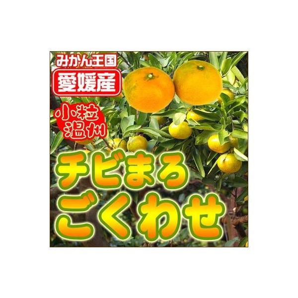買えば買うほど安くなるまとめ買い値引き採用！1箱あたり1.5kg：15-30個前後※不揃い・傷あり商品ですのでご家庭用としてお買い求めください。【送料無料商品の一部例外地域について】 ・北海道・東北・沖縄・離島は別途送料を申し受けます くだ...