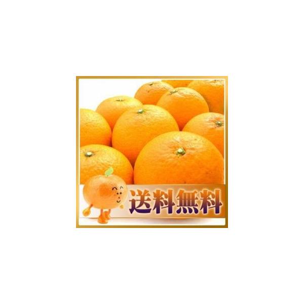 【特徴】別名清見オレンジともいい、果汁豊富で 温州みかんの濃厚な甘さとオレンジの香りが融合。多くのかんきつの交配親でもある優秀な品種です。 ・外皮が密着して剥きにくいのでスマイルカットで食べます【内容量】2kg 7個前後 【発送】3月上旬〜...
