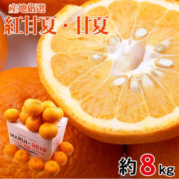 ■ブランド：紅甘■商品名：紅甘夏・甘夏■内容量・サイズ：約 8kg サイズお任せ■保存方法・賞味期限：日の当たらない冷暗所で保存します。甘夏は日持ちがよいほうですが、1週間〜2週間を目安にして、なるべく早く食べるようにしてください。酸っぱい...