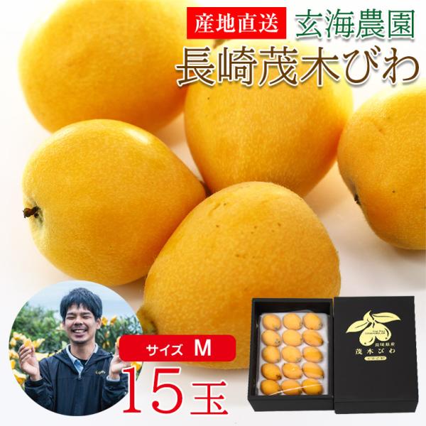 ■商品名：長崎茂木びわ 化粧 Mサイズ 15玉■内容量・サイズ：Mサイズ 15玉■保存方法・賞味期限：常温、商品到着後早めにお召し上がりください。■生産地：長崎県■配送に関するご注意：発送開始後はご注文より10営業日以内に発送いたします。（...