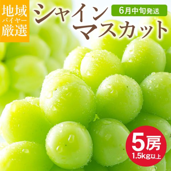 ■ブランド：シャインマスカット■商品名：シャインマスカット■内容量・サイズ：5房 1.5kg 以上■保存方法・賞味期限：常温、商品到着後早めにお召し上がりください。■生産地：厳選（山梨・岡山・長野・香川等）■販売期間：6月中旬〜8月中旬■販...