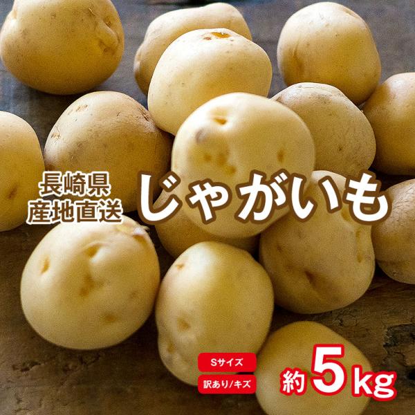 ■商品名：長崎じゃがいもの主な種類（テジマ/ニシユタカ/さんじゅう丸/ながさき黄金/メークイン等）■内容量・サイズ：Sサイズ 約5kg■保存方法・賞味期限：常温、商品到着後早めにお召し上がりください。■生産地：長崎県■販売者：株式会社GIA...