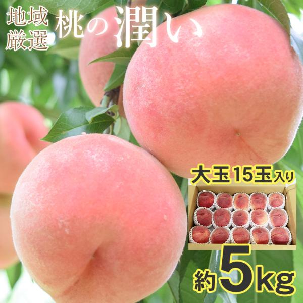 ■商品名：「潤い」桃■内容量・サイズ：秀品 約5kg 15玉 1玉 約330g■保存方法・賞味期限：常温、商品到着後早めにお召し上がりください。■生産地：和歌山・山梨・山形・福島等■販売期間：7月上旬〜9月中旬■配送に関するご注意：発送開始...