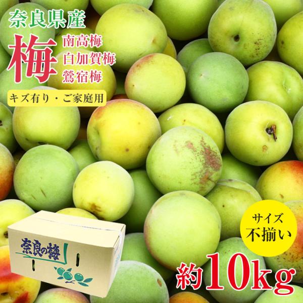 ■商品名：訳あり 南高梅 白加賀梅 鶯宿梅■内容量・サイズ：サイズ不揃い 約 10kg■保存方法・賞味期限：常温、商品到着後早めにお召し上がりください。■生産地：奈良県■販売者：株式会社GIANTKILLING ■クール便：非対応■商品説明...