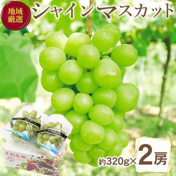 ■ブランド：シャインマスカット■商品名：シャインマスカット■内容量・サイズ：秀品 約 320g 2房■保存方法・賞味期限：常温、商品到着後早めにお召し上がりください。■生産地：地域厳選■販売期間：9月初旬より送開始■販売者：株式会社GIAN...